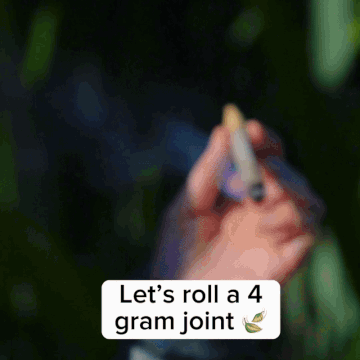 Blunt, Joint, Cannagar: Understanding the Differences – PURPLE ROSE SUPPLY®