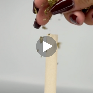 Buy Cannagar Shells Pack of 5 - Purple Rose Supply – PURPLE ROSE SUPPLY®